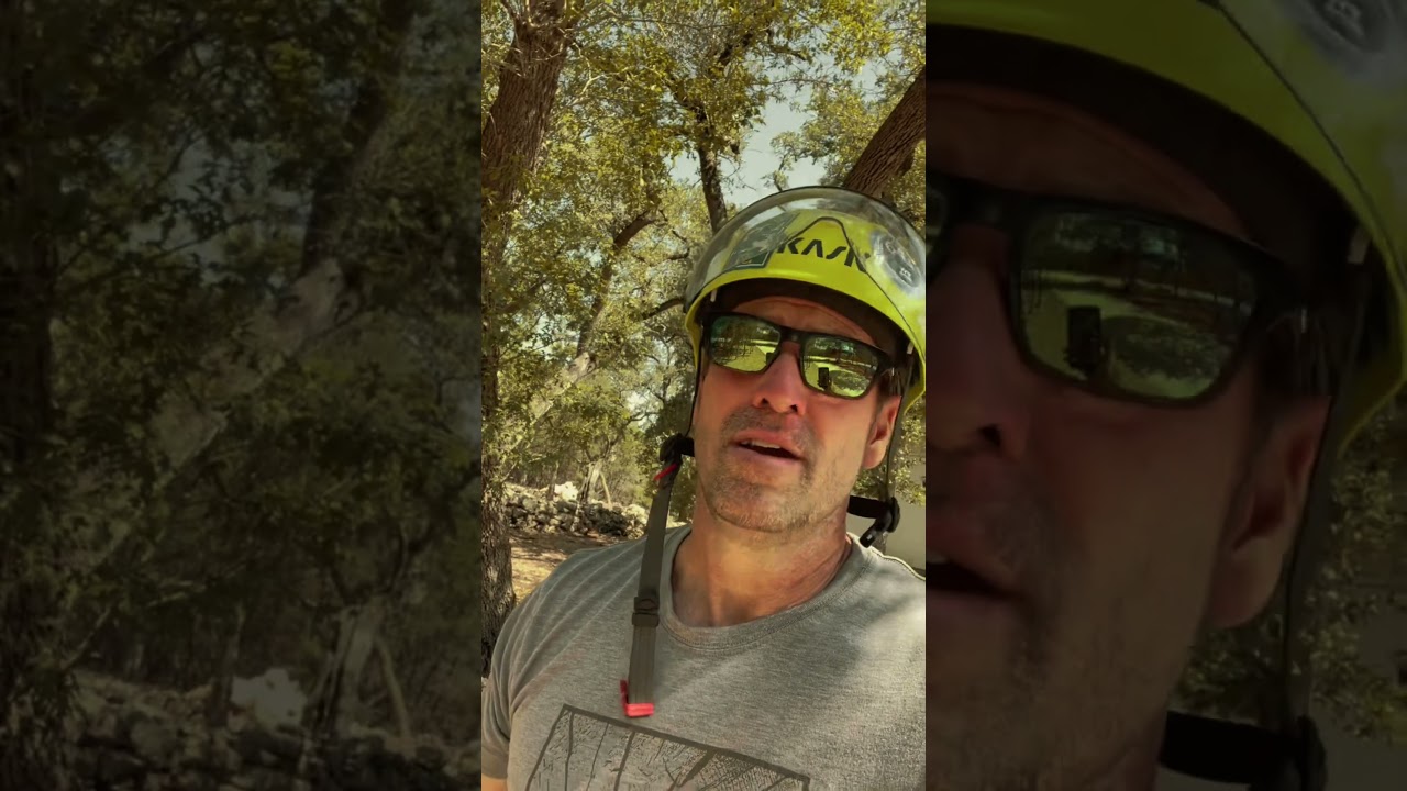 YouTube Archives - Urban Tree Company